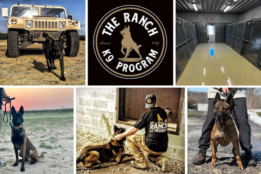 K9 Tactical Training: Enhancing Canine Capabilities